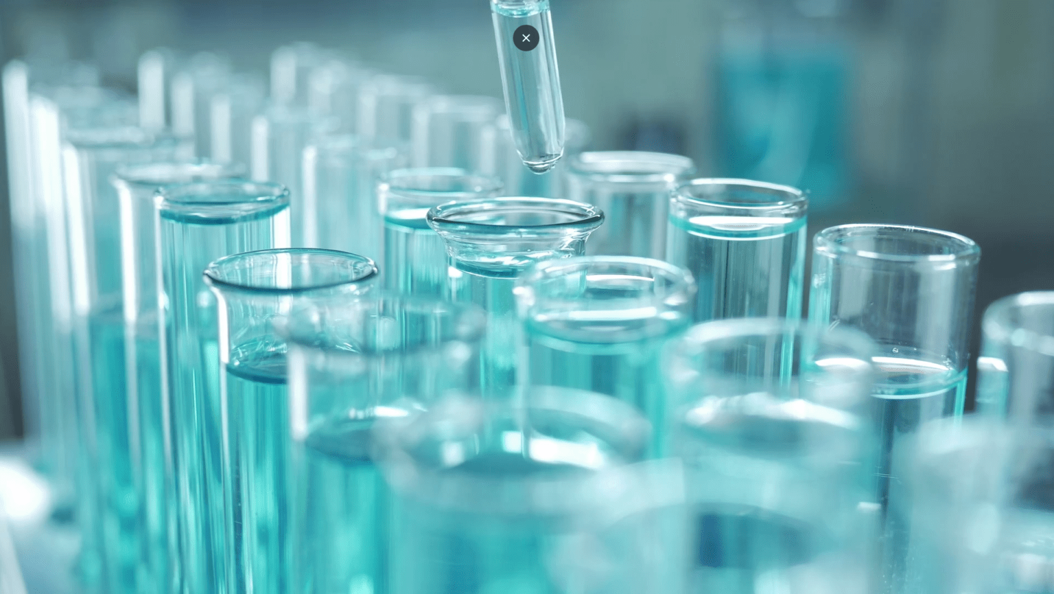 A Guide to PFAS Blood Testing | Stag Liuzza